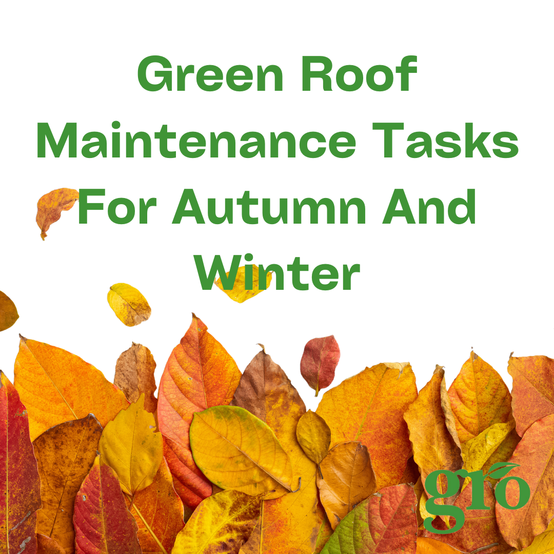 Essential Green Roof Maintenance Tasks For Autumn and Winter | Green ...