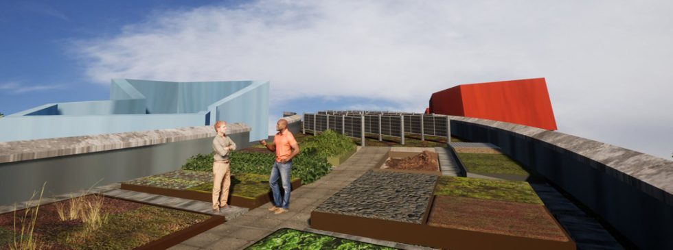 Living Roof Live Lab: Shaping the Future of Green Roofing in the UK ...